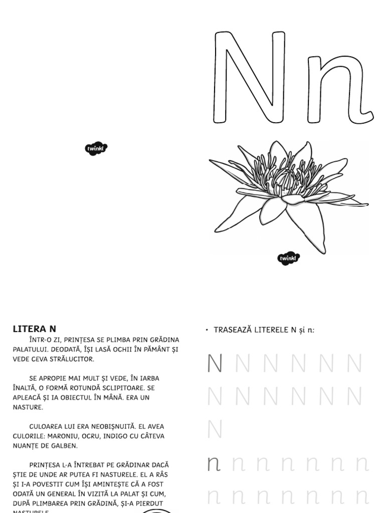 LC 19 Icircnvm Litera N N Brour Cu Activiti Ver 3 | PDF