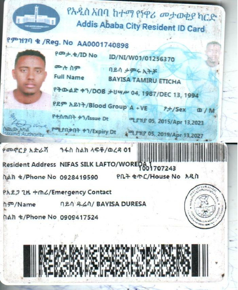 Bayisa Tamiru | PDF