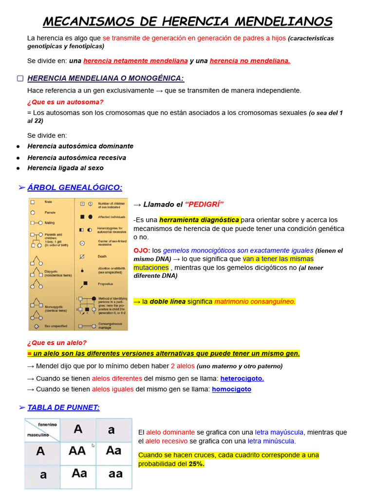 Herencia Mendeliana | PDF | Dominancia (Genética) | Alelo