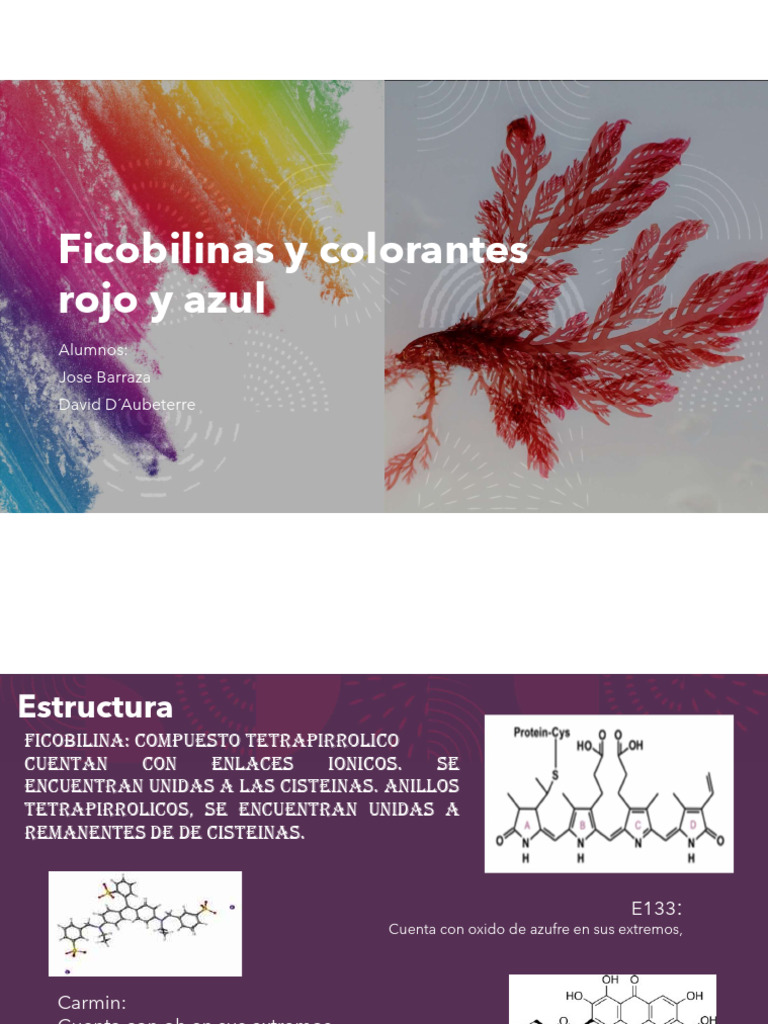 Ficobilinas, Colorantes Rojo y Azul - Jose Barraza y David D Aubeterre ...