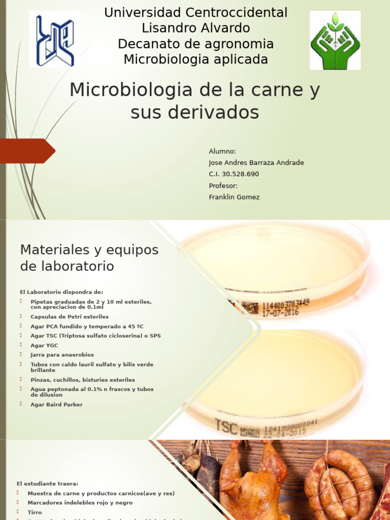 Esquema Practica 4 - Jose Barraza | PDF | Microbiología | Organismos