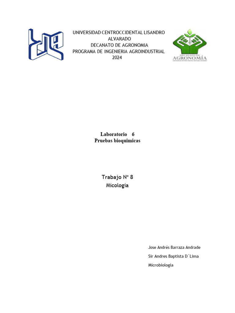 Pruebas Bioquímicas en Micología | PDF | Hongo | Levadura