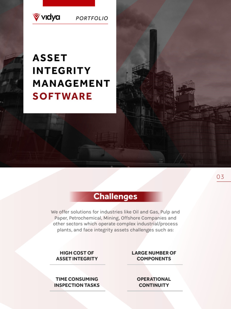 Software Technology Portfolio Vidya | PDF | Software | Data