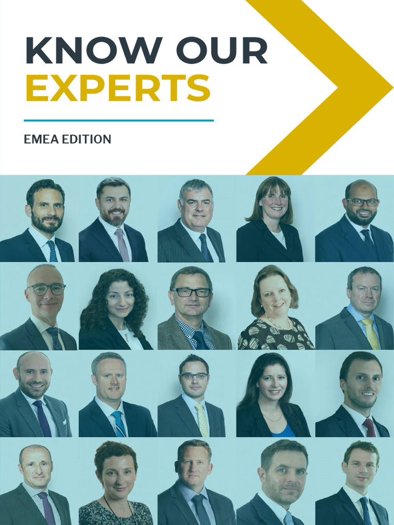 Know Our Experts v5 | PDF | Expert Witness | Witness