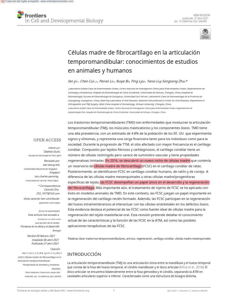 Crecimiento Fibrocartilago ATM - En.es | PDF | Articulación | Cartílago