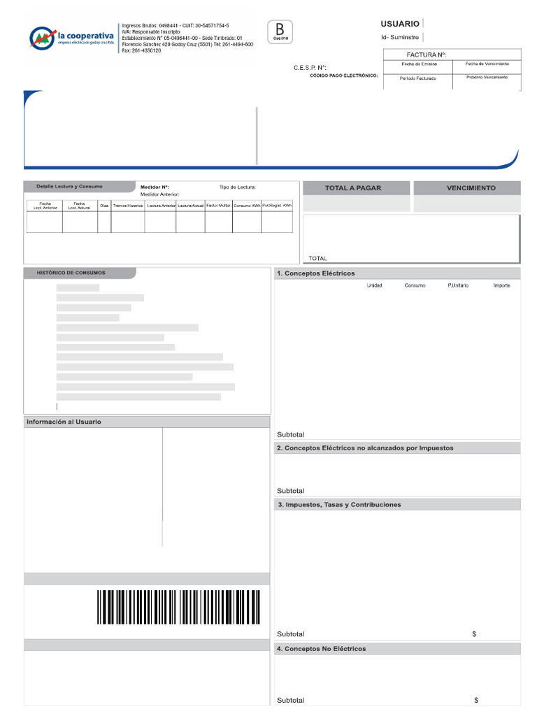 Boleta Modelo | PDF | Economias