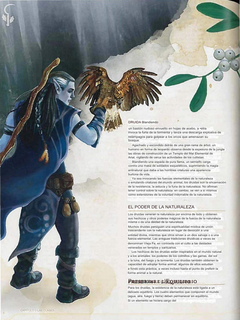 Druido - Comprimido | PDF | druida | Naturaleza