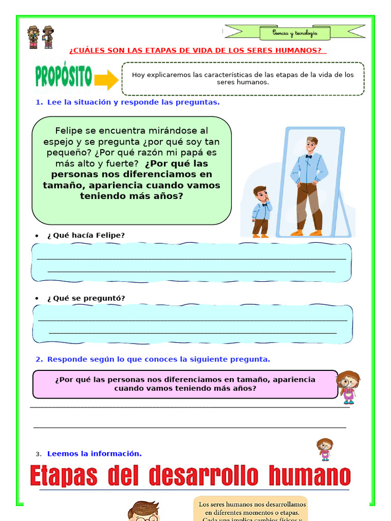 Etapas de la Vida Humana Explicadas | PDF