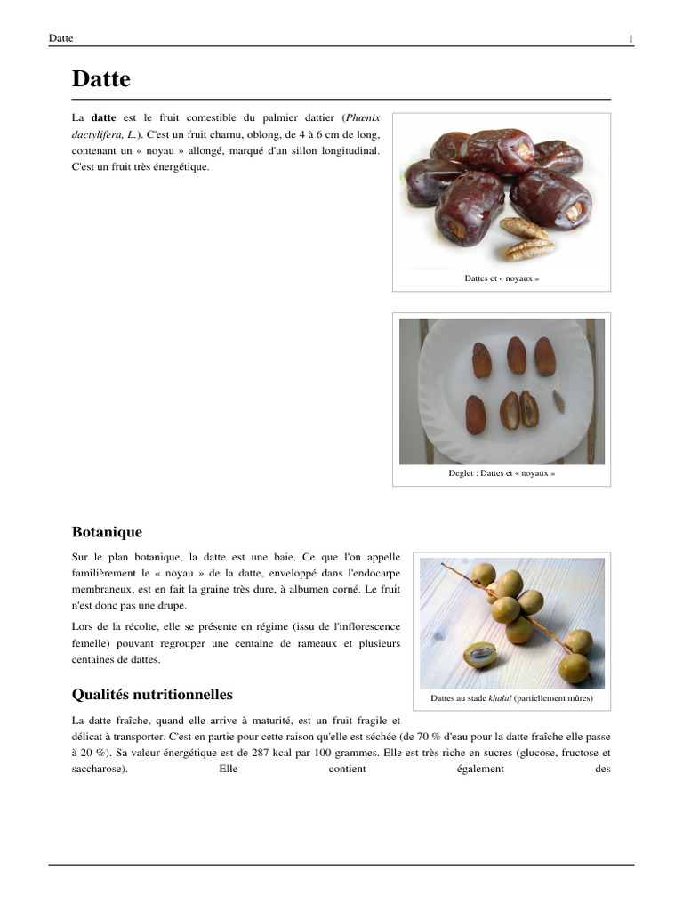 Bienfaits et variétés de dattes | PDF | Cuisine végan | Plantes