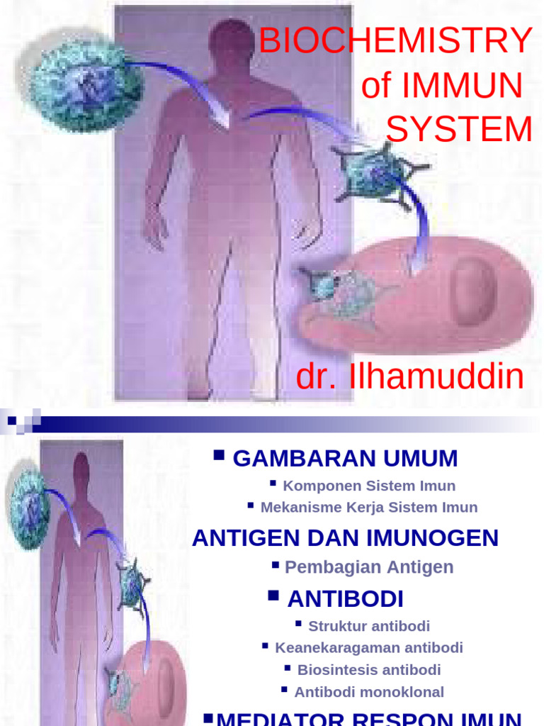 Respon Imun Humoral Blok Biomedik 1 UMGO 2024 | PDF