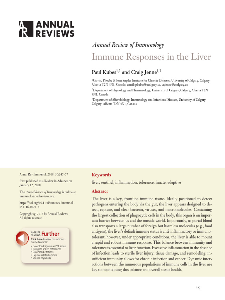 Immune Responses in The Liver | PDF | Immune System | Liver