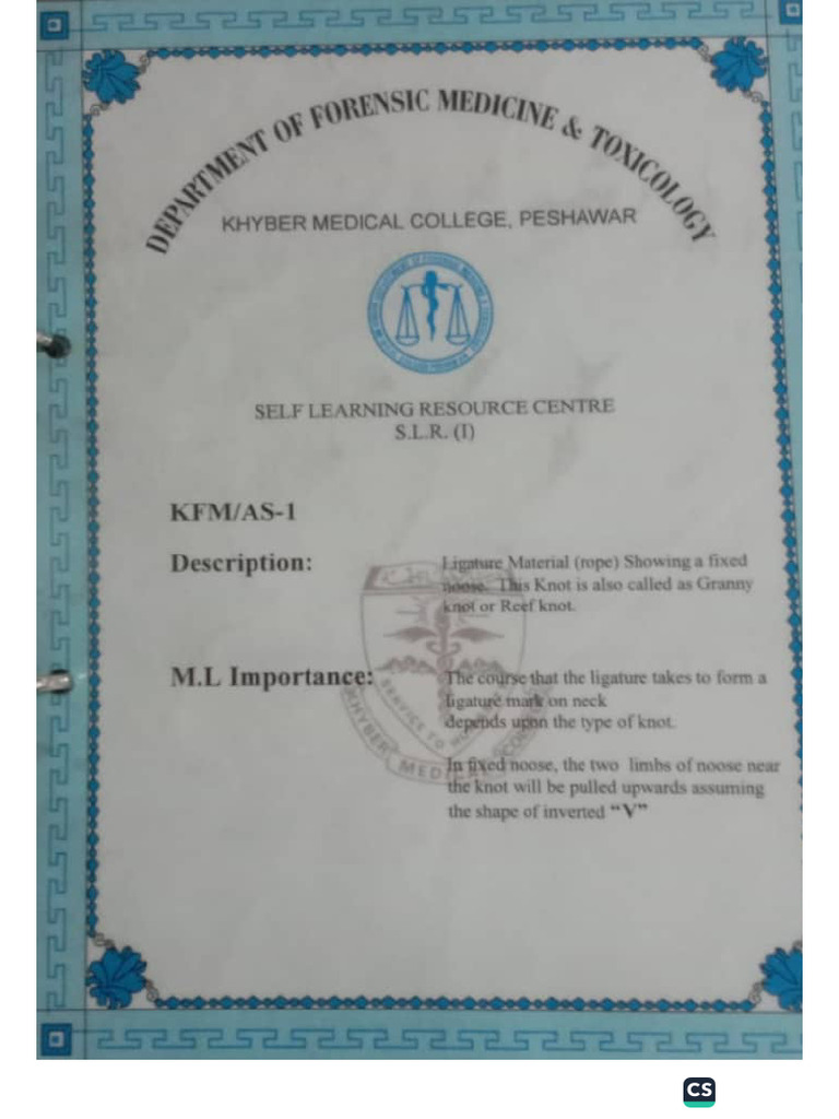 Forensic Models,3rd Year | PDF