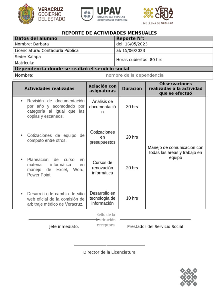FORMATO - REPORTE - MENSUAL - Reporte01 Upav | PDF