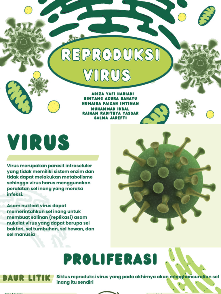 Proses Reproduksi Virus dan Bakteriofag | PDF