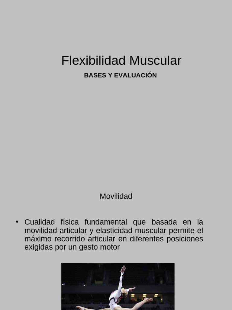 FLEXIBILIDAD MUSCULAR | PDF | Flexibilidad (anatomía) | Músculo
