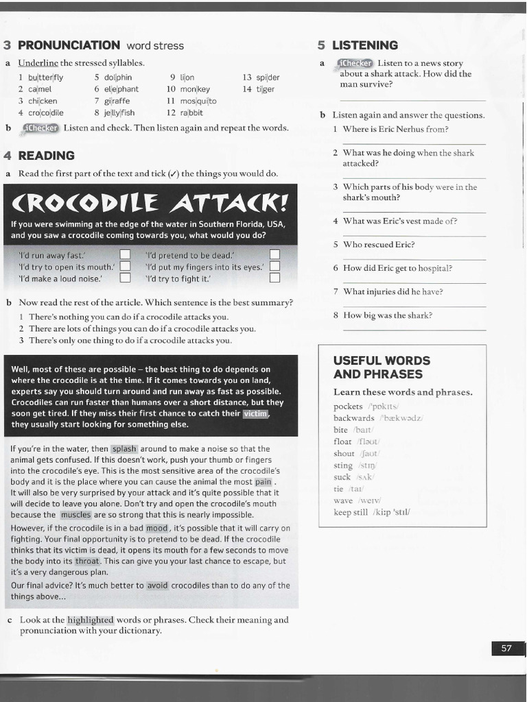 2nd Cond, Reading and Listening | PDF