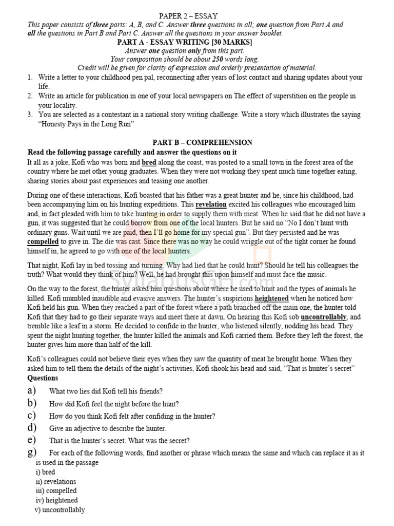 2024 Ultimate Mock English Language 2 | PDF | Electricity | Power Supply