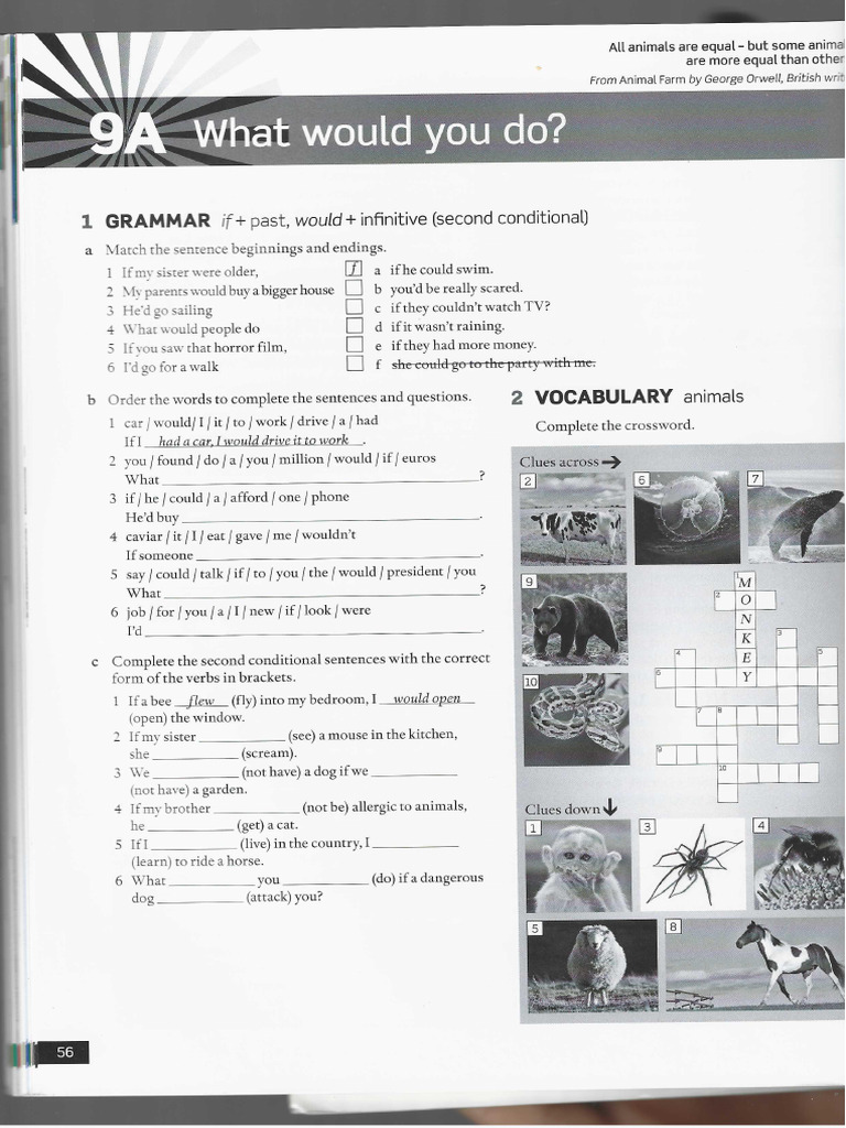 2nd Cond. Practica. | PDF