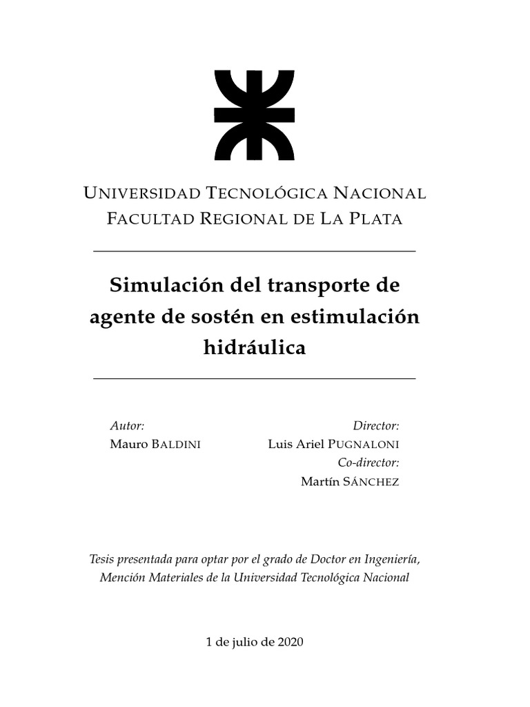 Simulación del transporte de agente | PDF | Petróleo | Roca (geología)