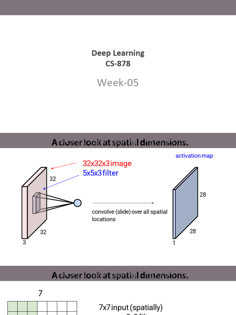 Lec - 05 - CNN Deep Learning | PDF | Computational Neuroscience | Artificial Intelligence