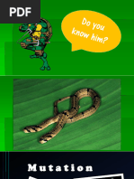 Amoeba Sisters Mutations Recap Guide | PDF | Genetic Code | Point Mutation