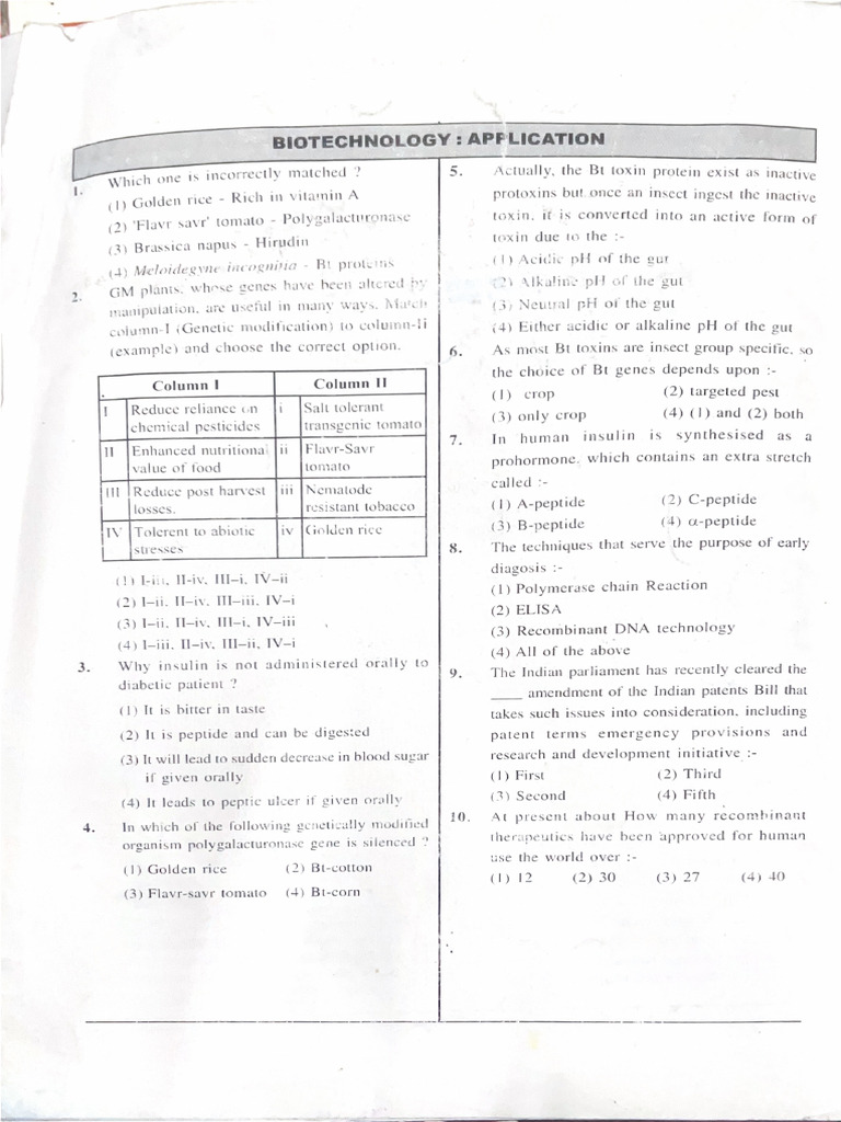 Bt-2 Exclusive | PDF