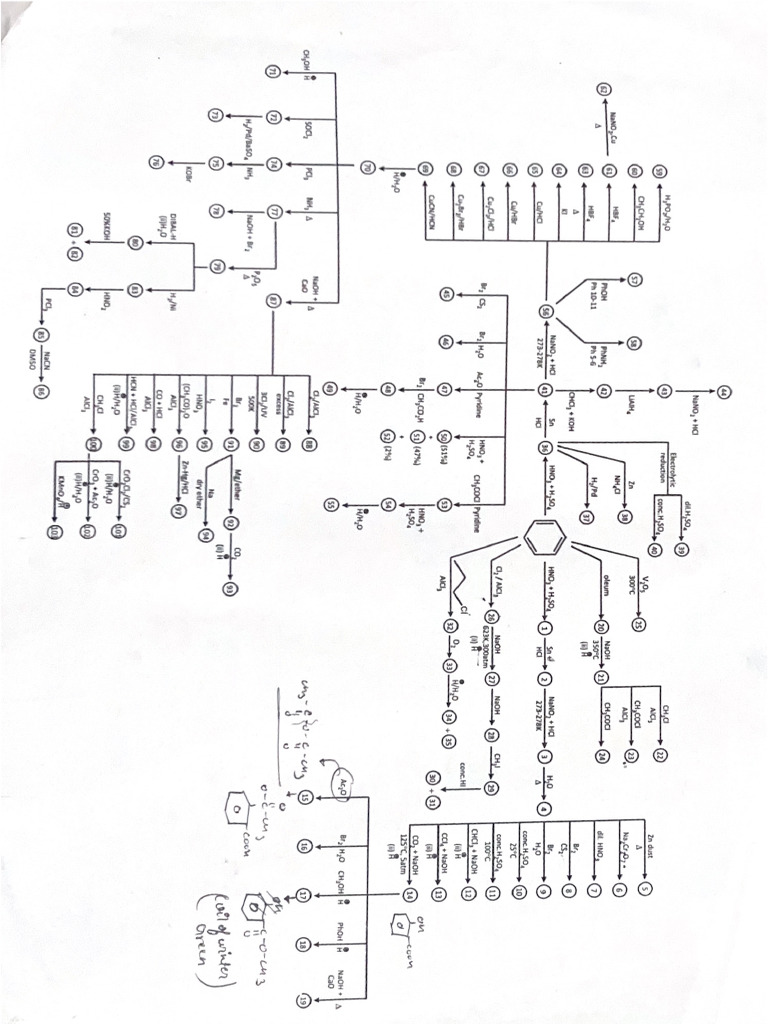 103 - NCERT RXN Assignments | PDF