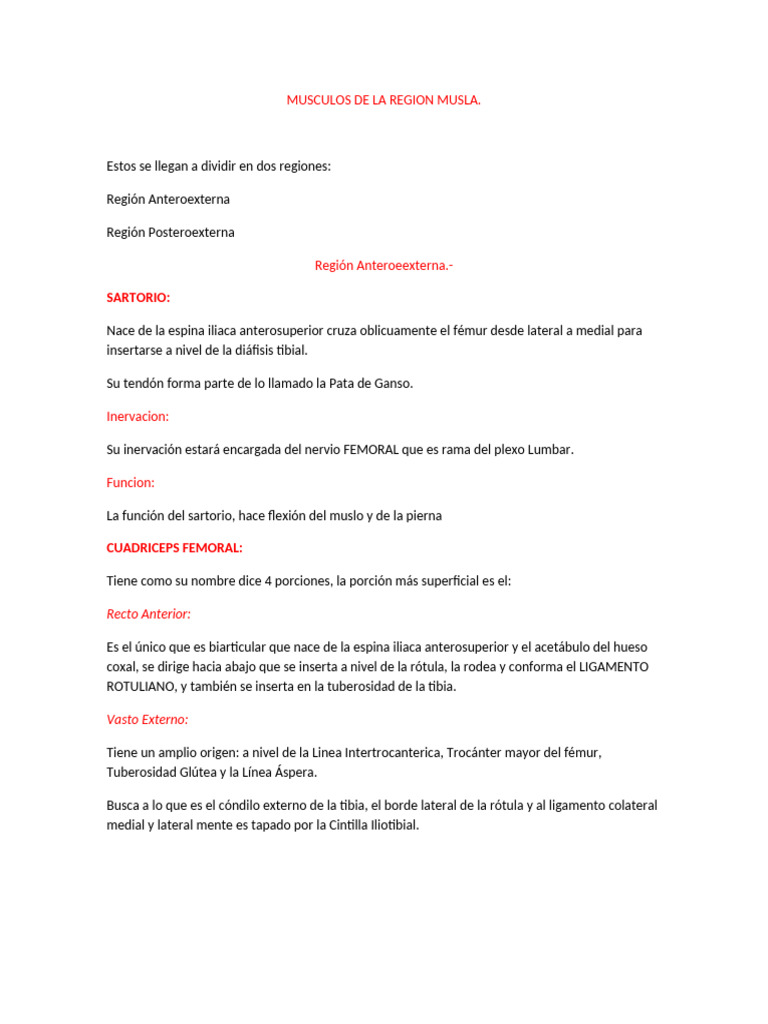 Musculos Del Muslo | PDF | Anatomía del miembro inferior | Extremidades ...