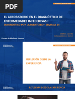 Prospecto NIFURYL | PDF | Infección del tracto urinario ...