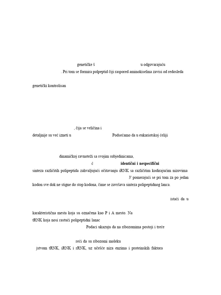 2 Transl Skrip SL | PDF