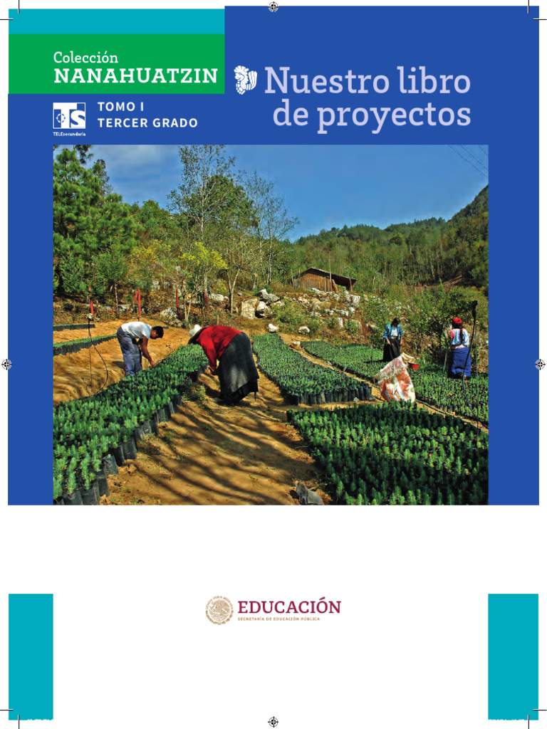 Proyectos 1 | PDF