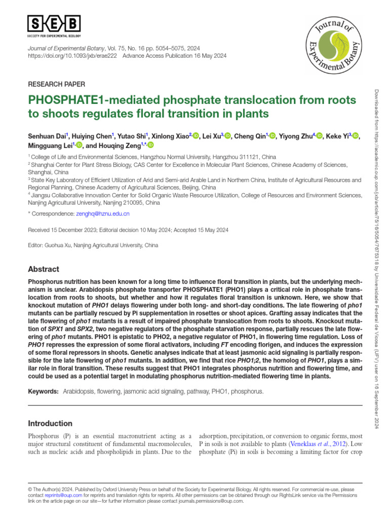 PHOSPHATE1-mediated Phosphate Translocation From Roots To Shoots ...