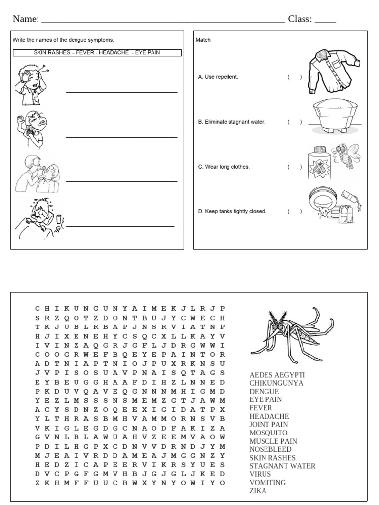Dengue Activities-1 | PDF | Immunology | Epidemiology
