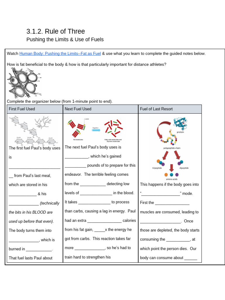 3.1.2 Rules of 3 | PDF