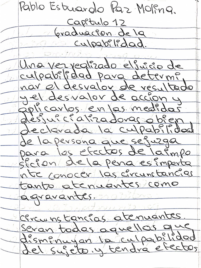 Resumen Capitulo 12 Y Pelicula Pablo Paz | PDF