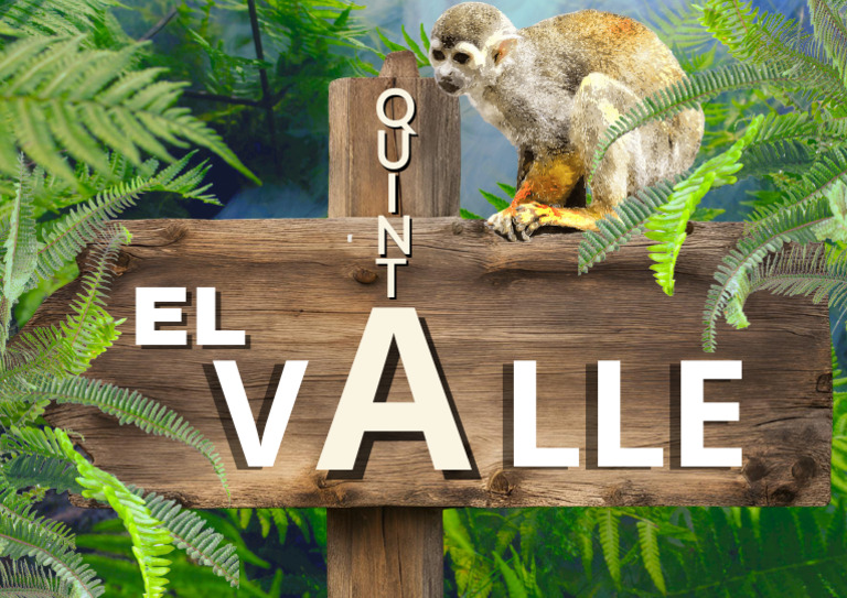 Agregar un título (1)nsndb | PDF