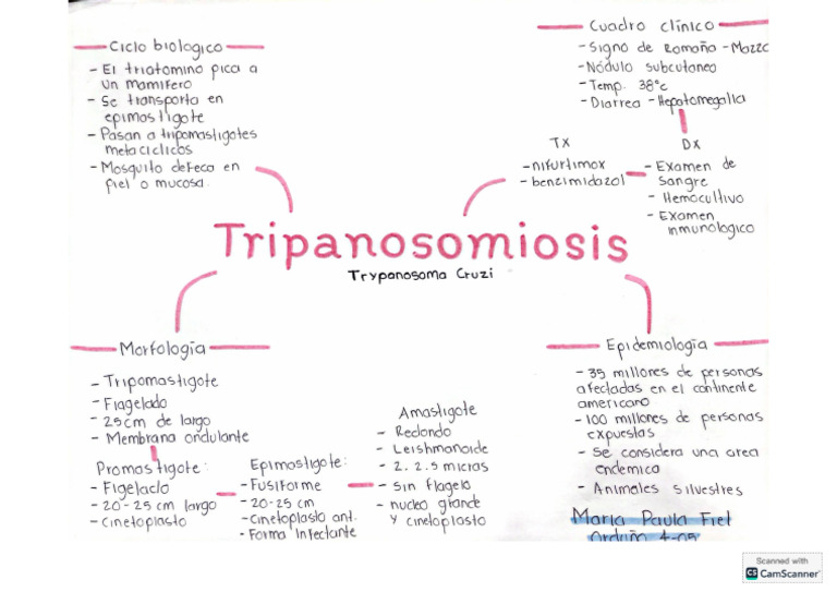 T16 - Fiel Orduño María Paula | PDF