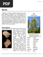 Tree Identification Cards | PDF | Flora | Trees