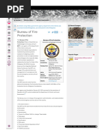 BFP Logo and Insignia Specifications | PDF