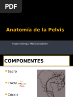 Fracturas de Cotilo | PDF | Pelvis | Sistema esquelético