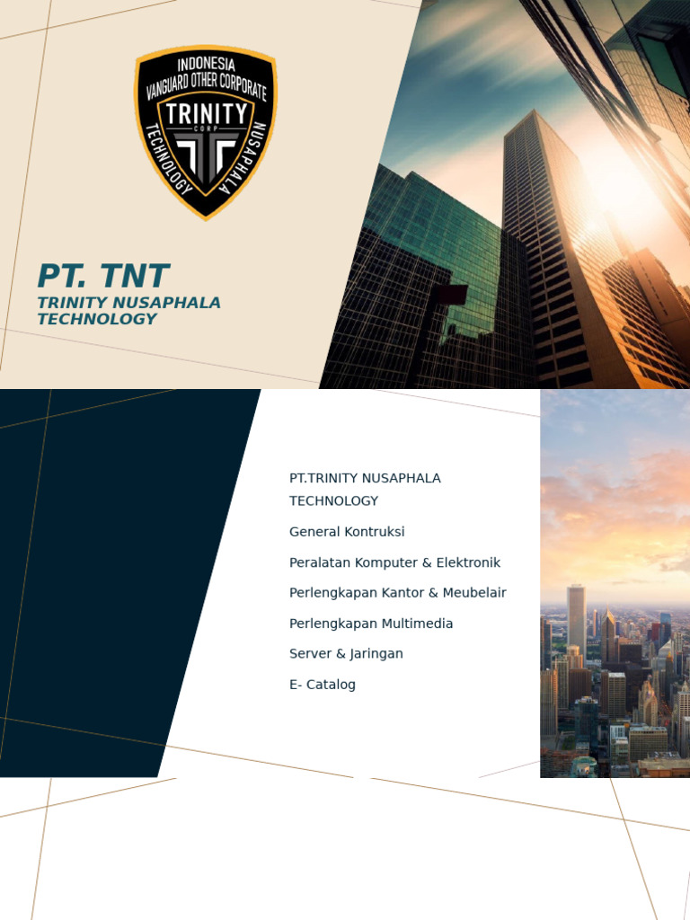 Presentasi UMUM PT .TNT | PDF | Psychological Concepts | Psychology