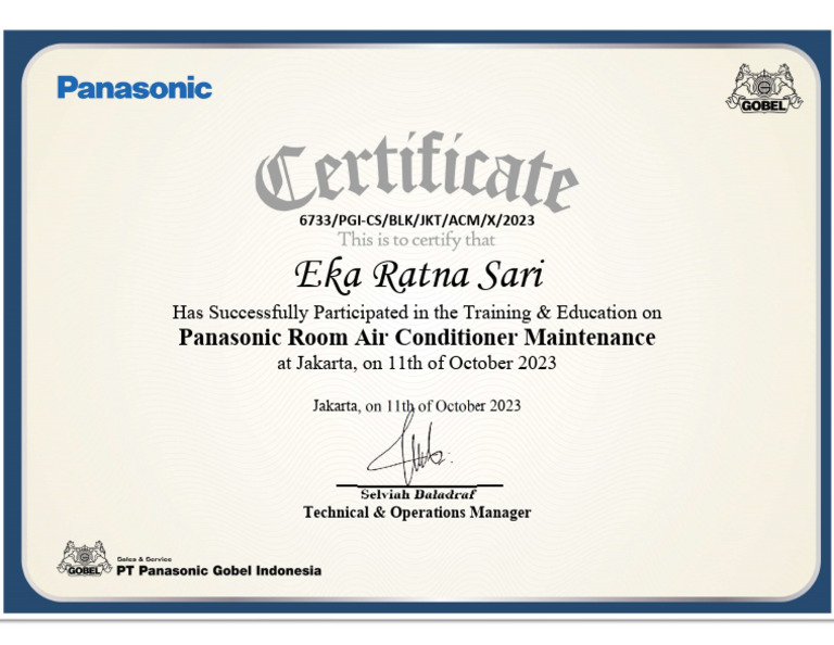 Panasonic Maintenance | PDF | Science & Mathematics | Computers