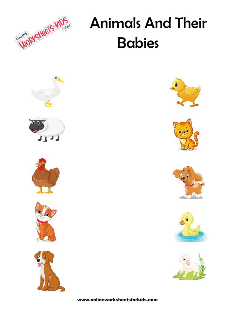 Animal and Their Babies Worksheet For Grade 1-1 | PDF