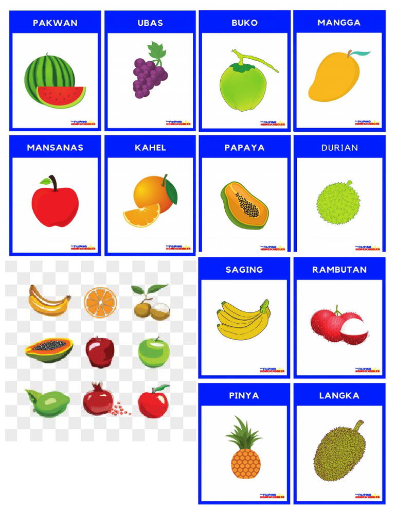 Fruits | PDF