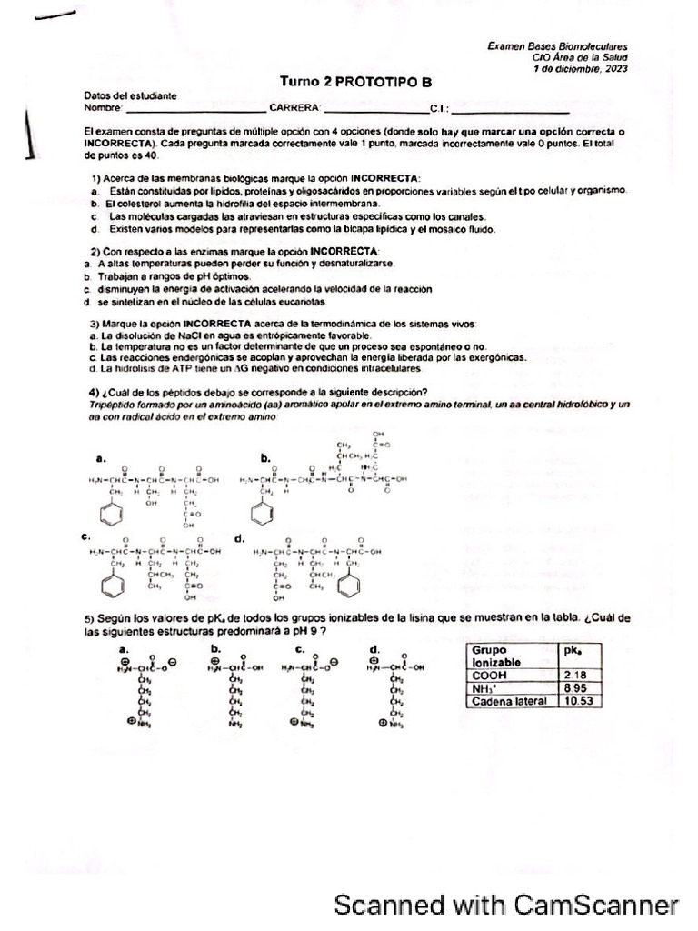 Examen diciembre prot. B T2 | PDF