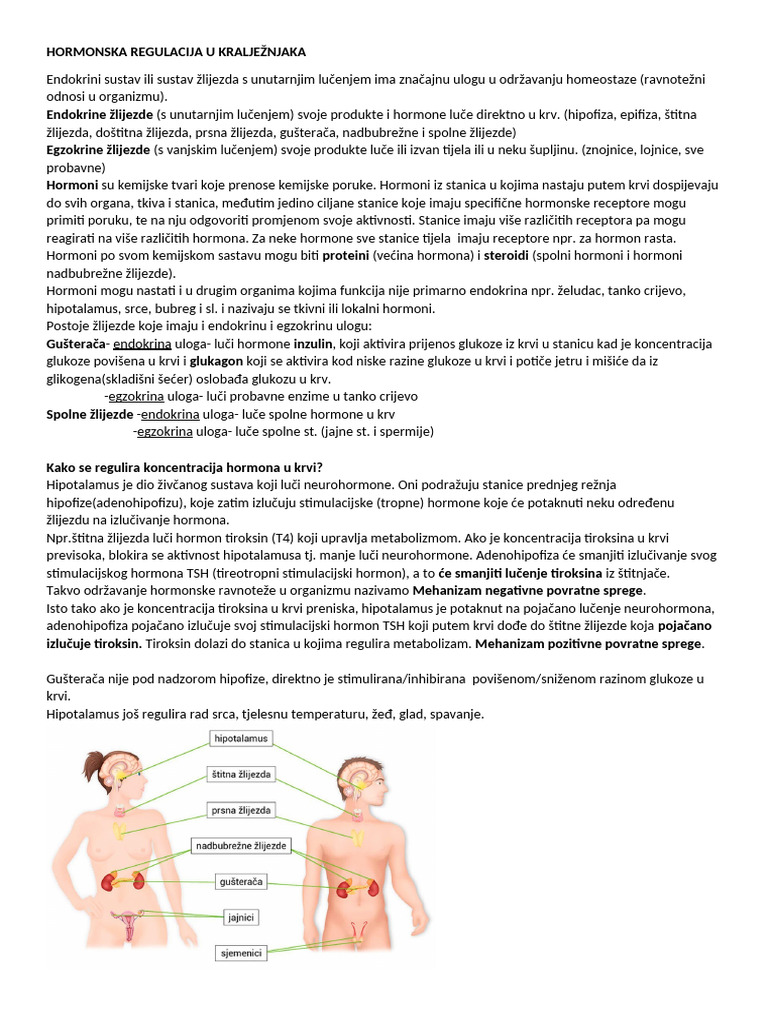 Hormonska Regulacija U Kraljeznjaka | PDF
