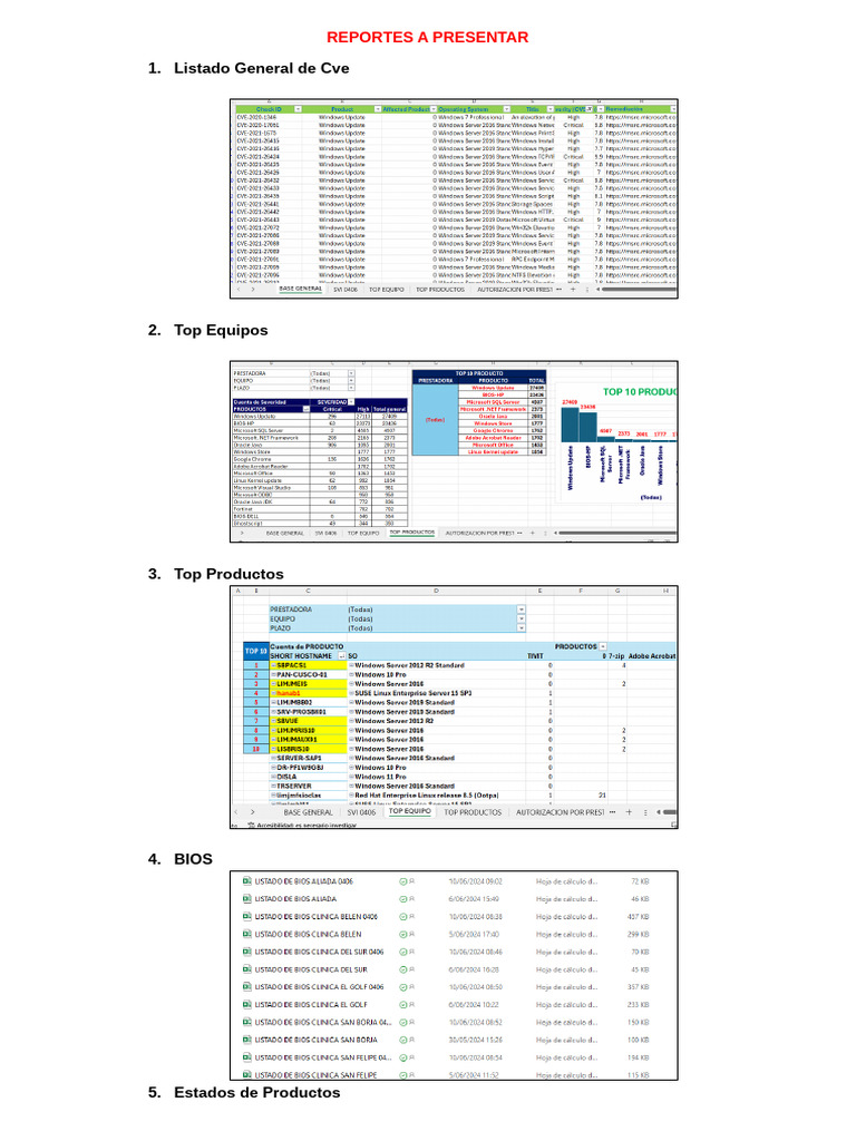 Reportes y Guías de Power BI y BIOS | PDF