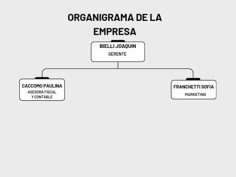Grey and White Minimalist Company Organization Chart | PDF | Negocios