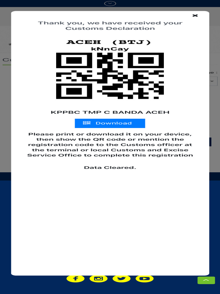 Official Website Direktorat Jenderal Bea Dan Cukai 2 | PDF