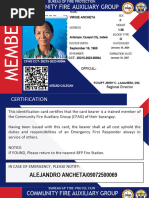 BFP Id Form | PDF | Government